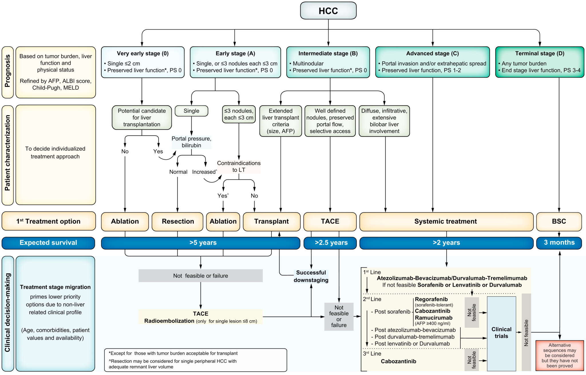 Hepatocellular Carcinoma (HCC)-Radiological Findings and Management ...