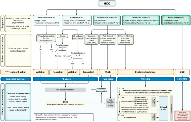 Hepatocellular Carcinoma (HCC)-Radiological Findings and Management ...